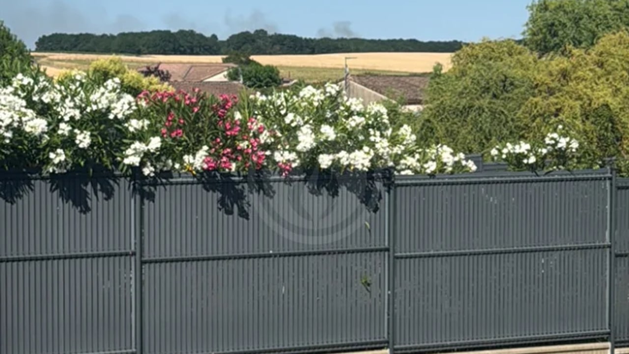 Incendie Laroque-Timbaut (47) — Feux de Forêt