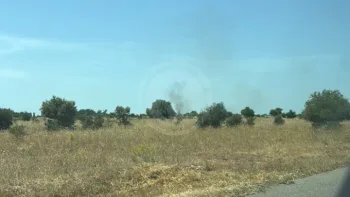 Incendie Arles (13) — Feux de Forêt